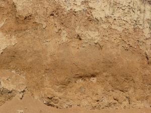 rough ground textures - Texturelib